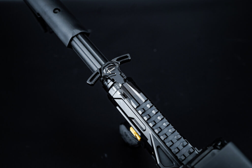 Paladin-10 .308 Win 12" - GQ Armory